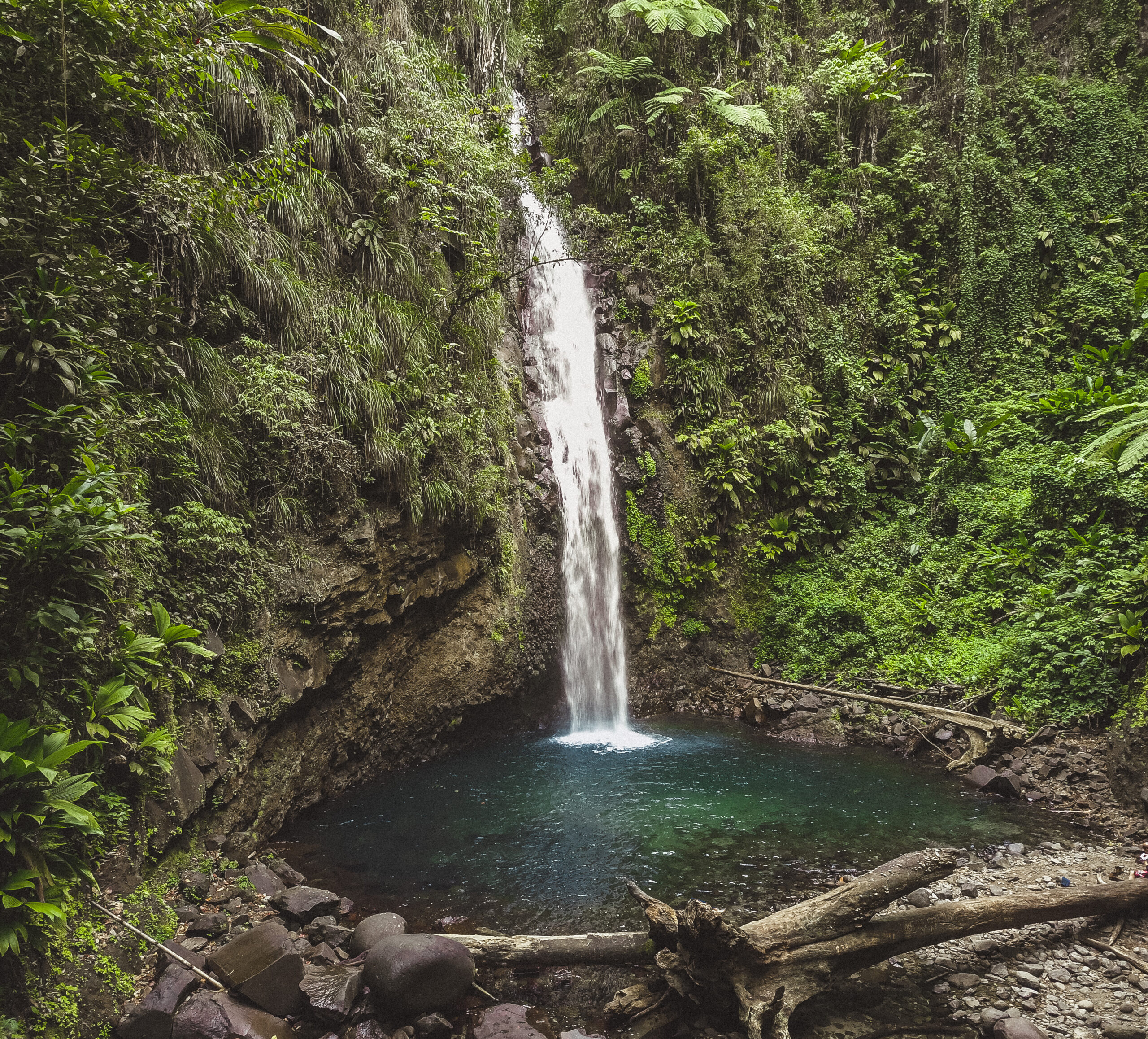 Sciences Humaines et Sociales sur la mangrove et les zones humides – Office de l'Eau – Martinique
